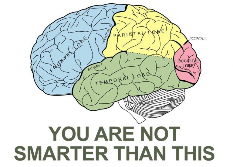 you-are-not-smarter-than-your-brain | POLITUSIC